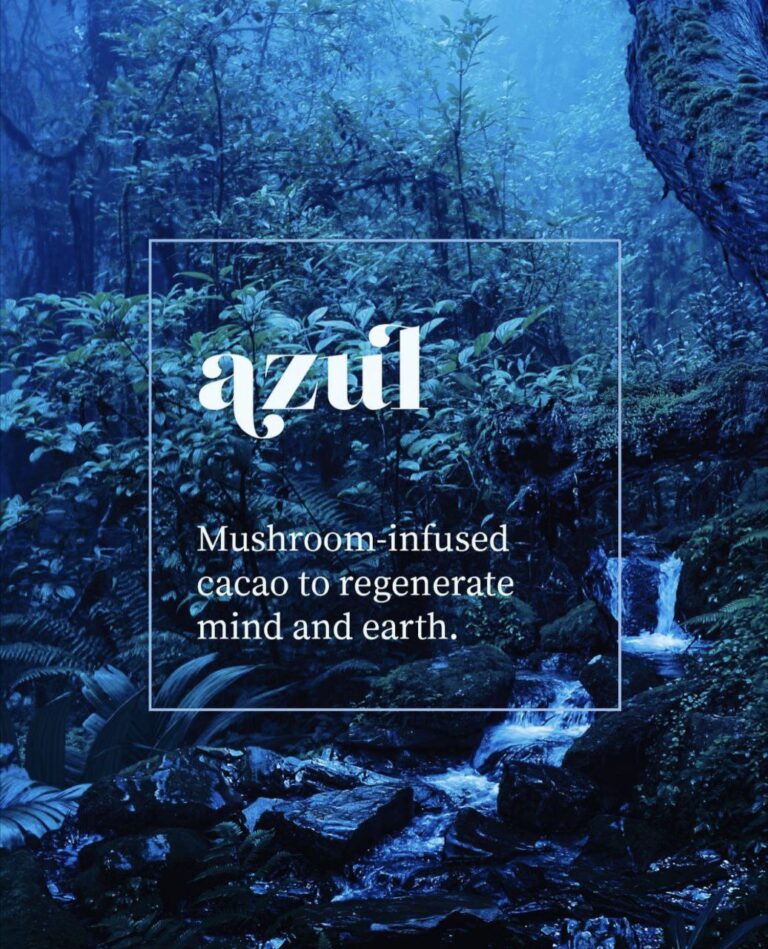 Azul Chocolate Mushroom bar | Azul Chocolate bar where to buy
