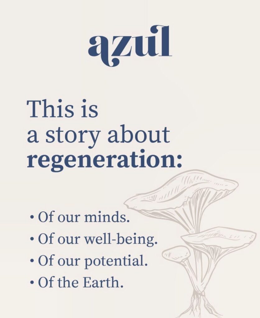 Azul Chocolate Mushroom bar | Azul Chocolate bar where to buy